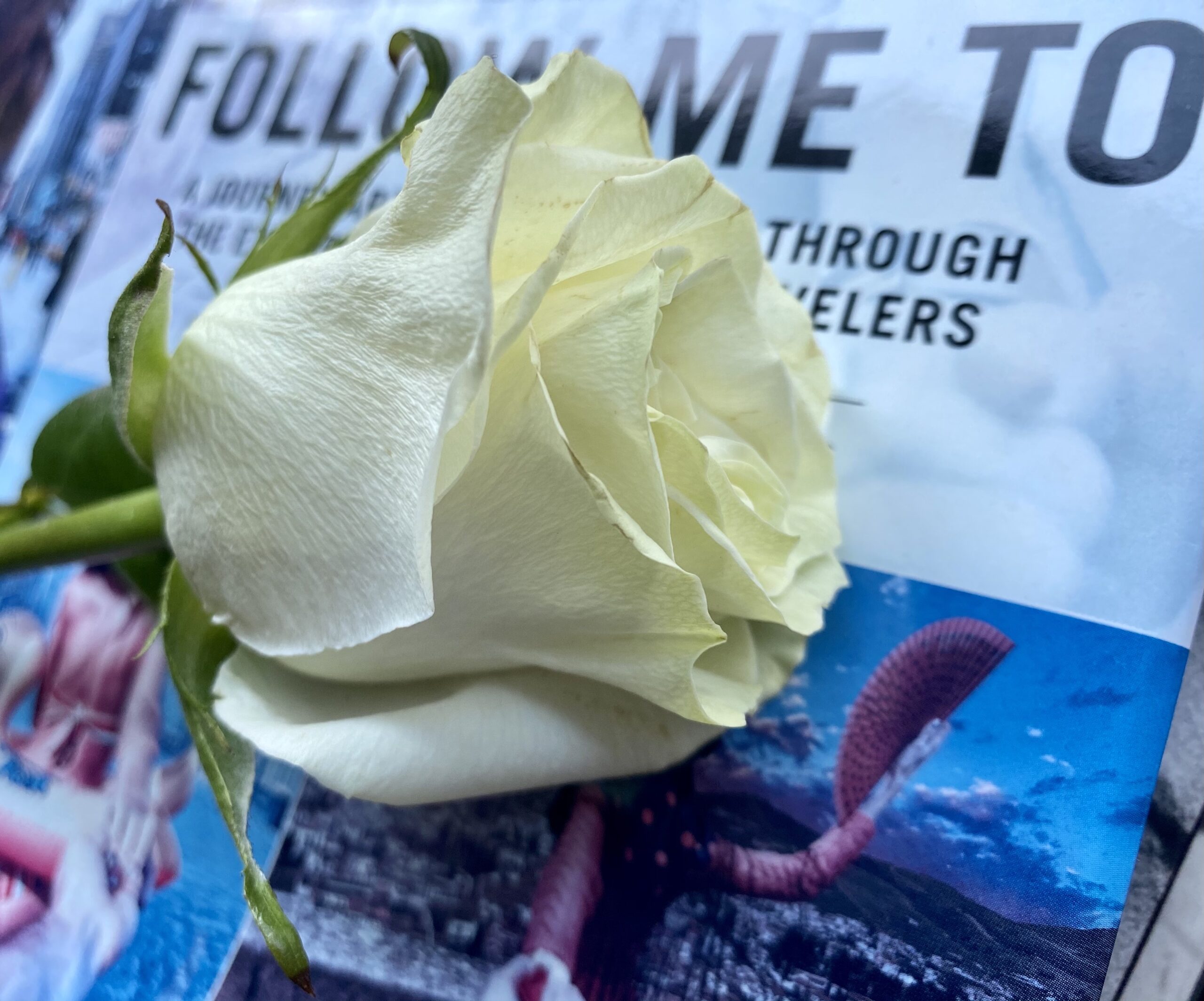 If you'd like to save 3 lives... | Boutique Concierge